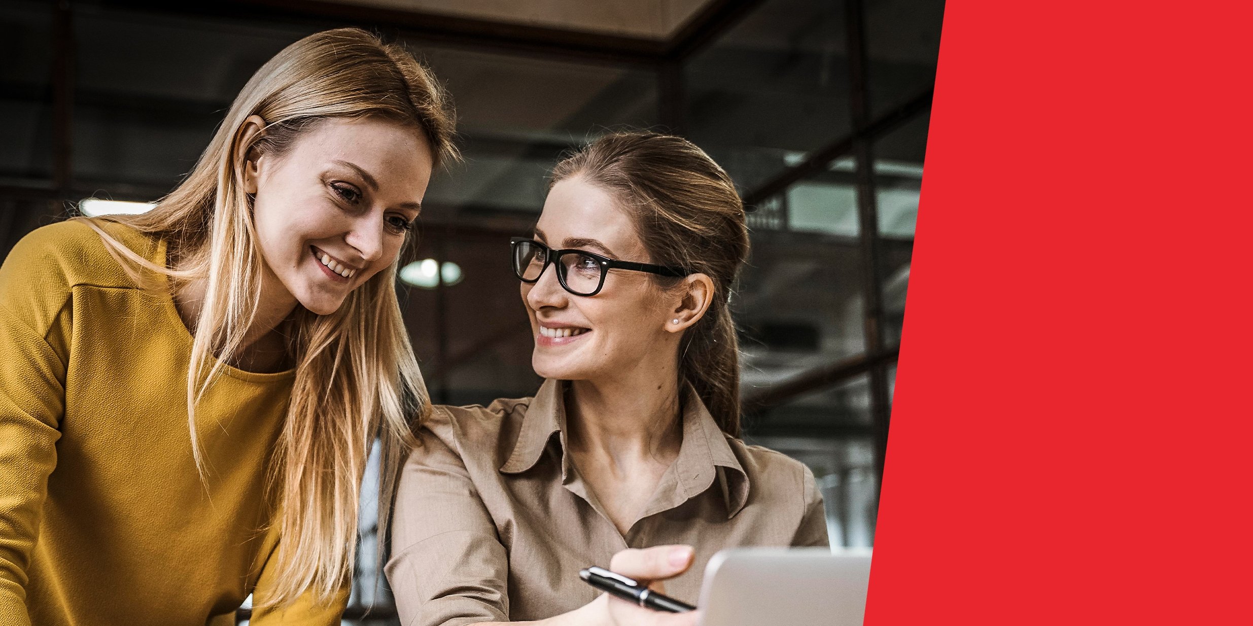 Universidade Corporativa - Schueck